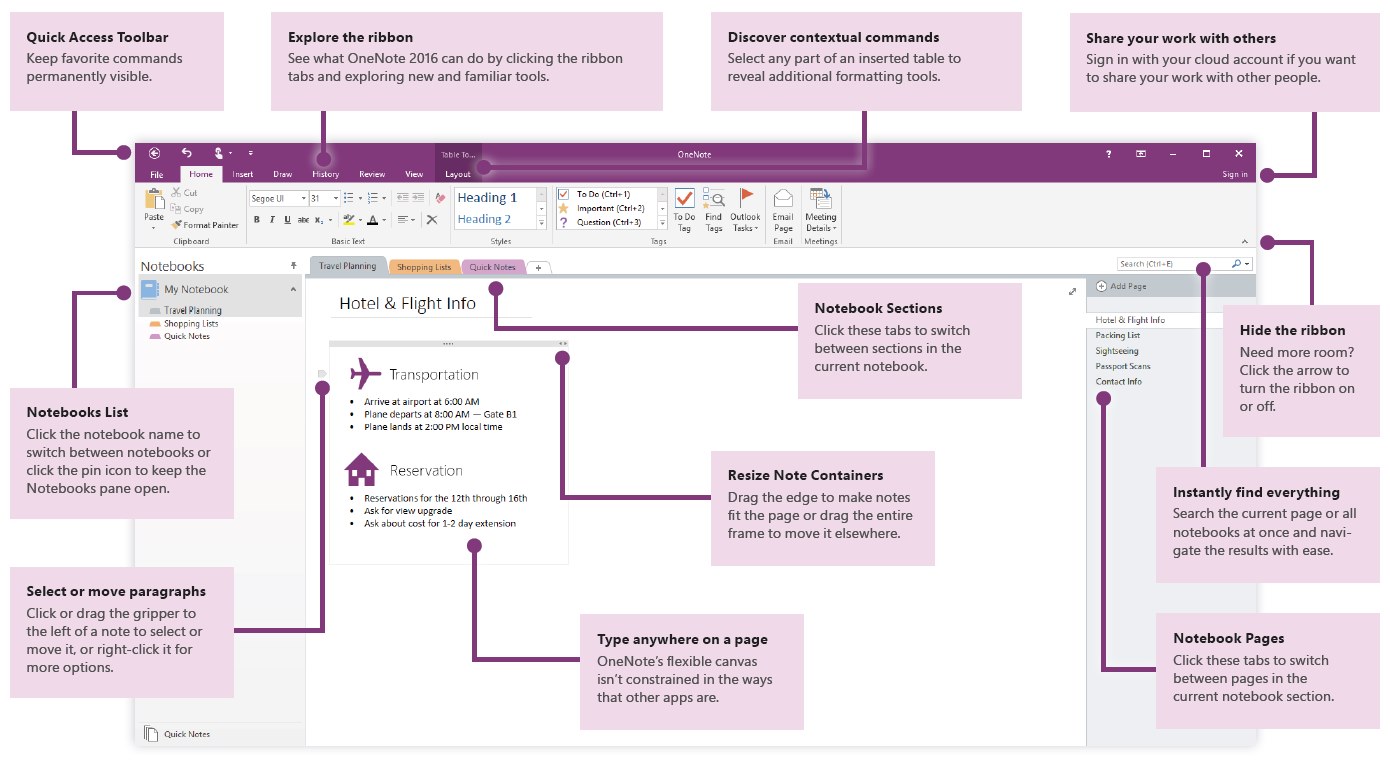 Find Customer Primary Domain